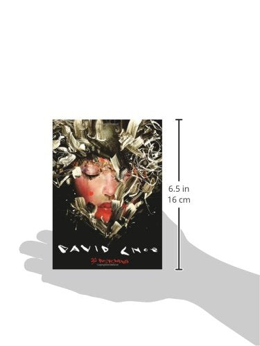 David Choe, art print postcard book – Captivated!